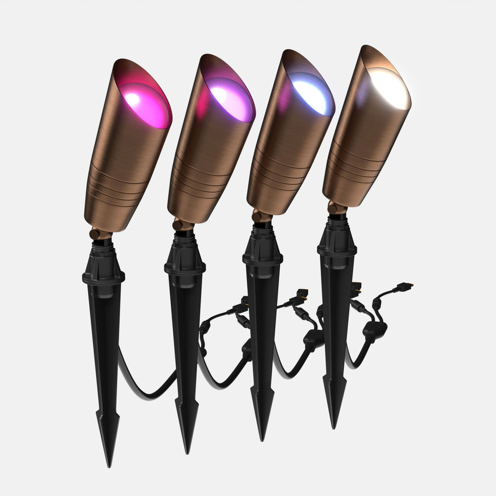 Explore Our Full Range of Solutions- Ambient Lights Products